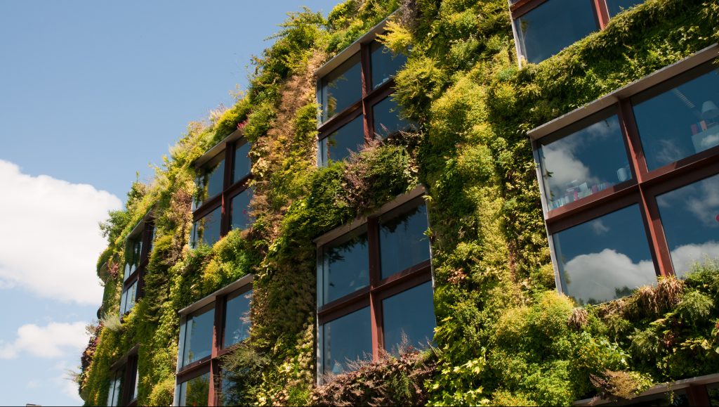 Natural England unveils new Green Infrastructure Framework | CIEEM