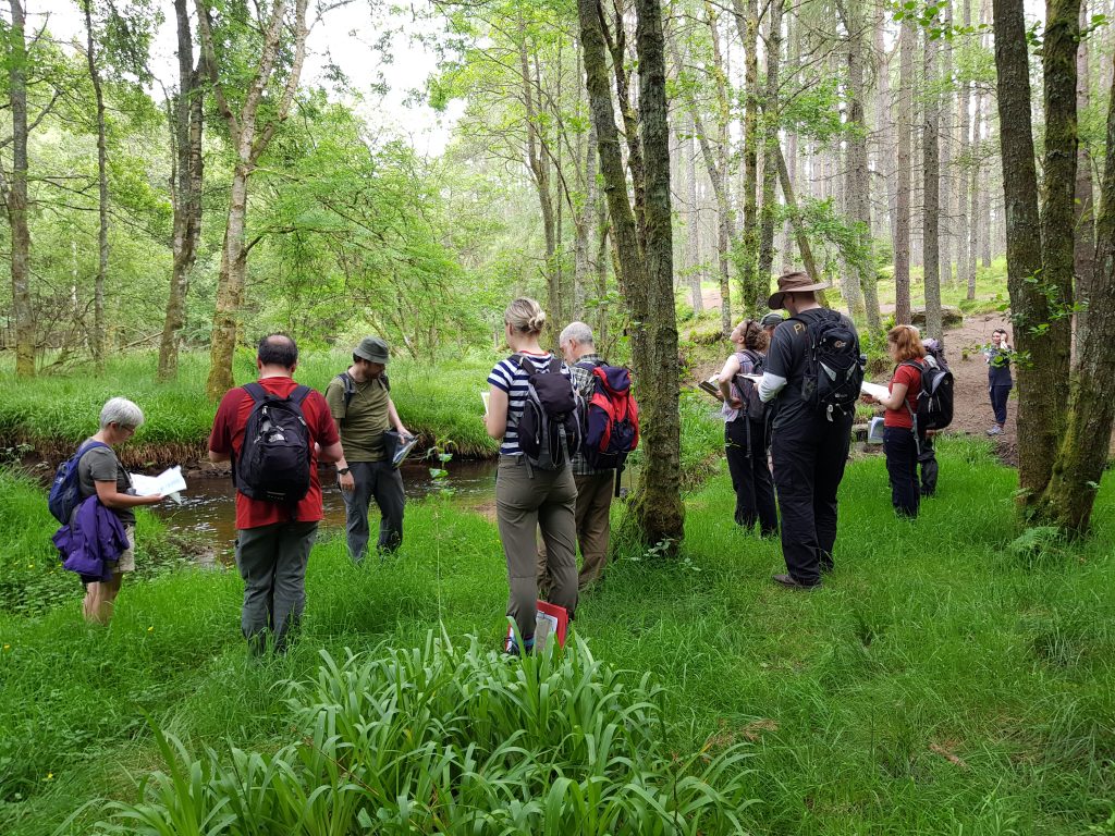 Scottish members explore UKHab and its field key | CIEEM