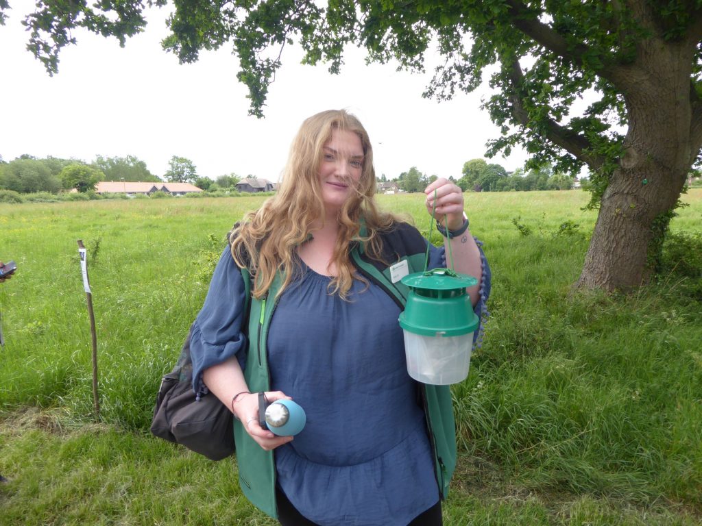 South East Members learn about the Oak Processionary Moth | CIEEM