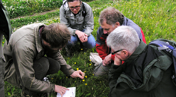 Share Your Skills and Raise Standards: Invitation to Tender Open Now ...