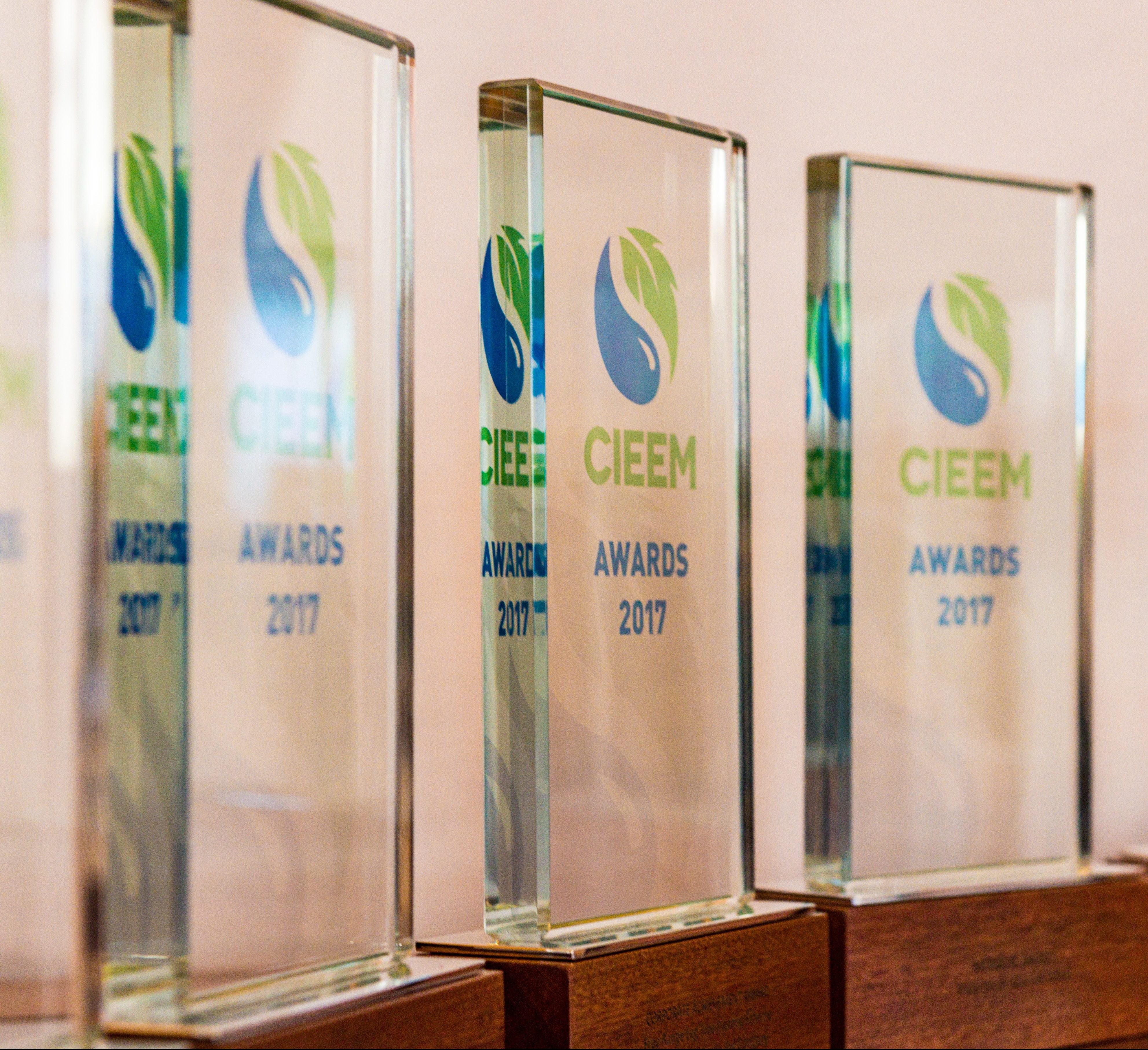 Let’s Celebrate Volunteers: Volunteer Awards 2023 | CIEEM