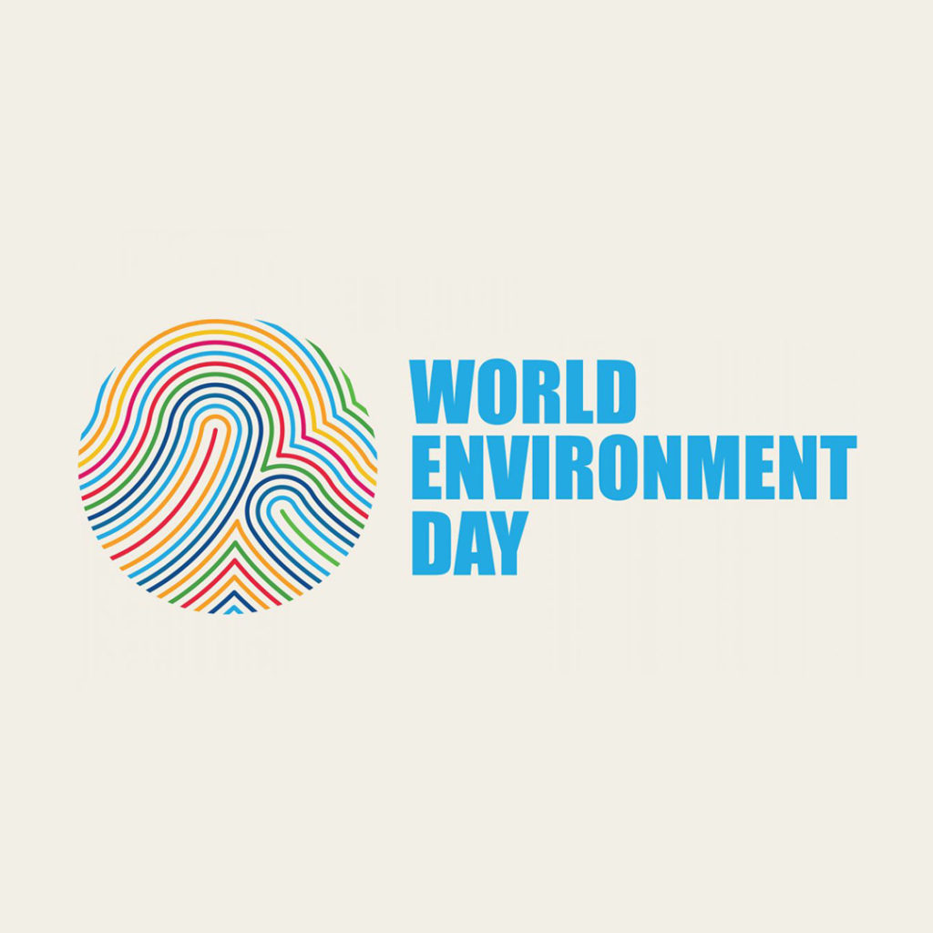 Getting Ready for World Environment Day | CIEEM