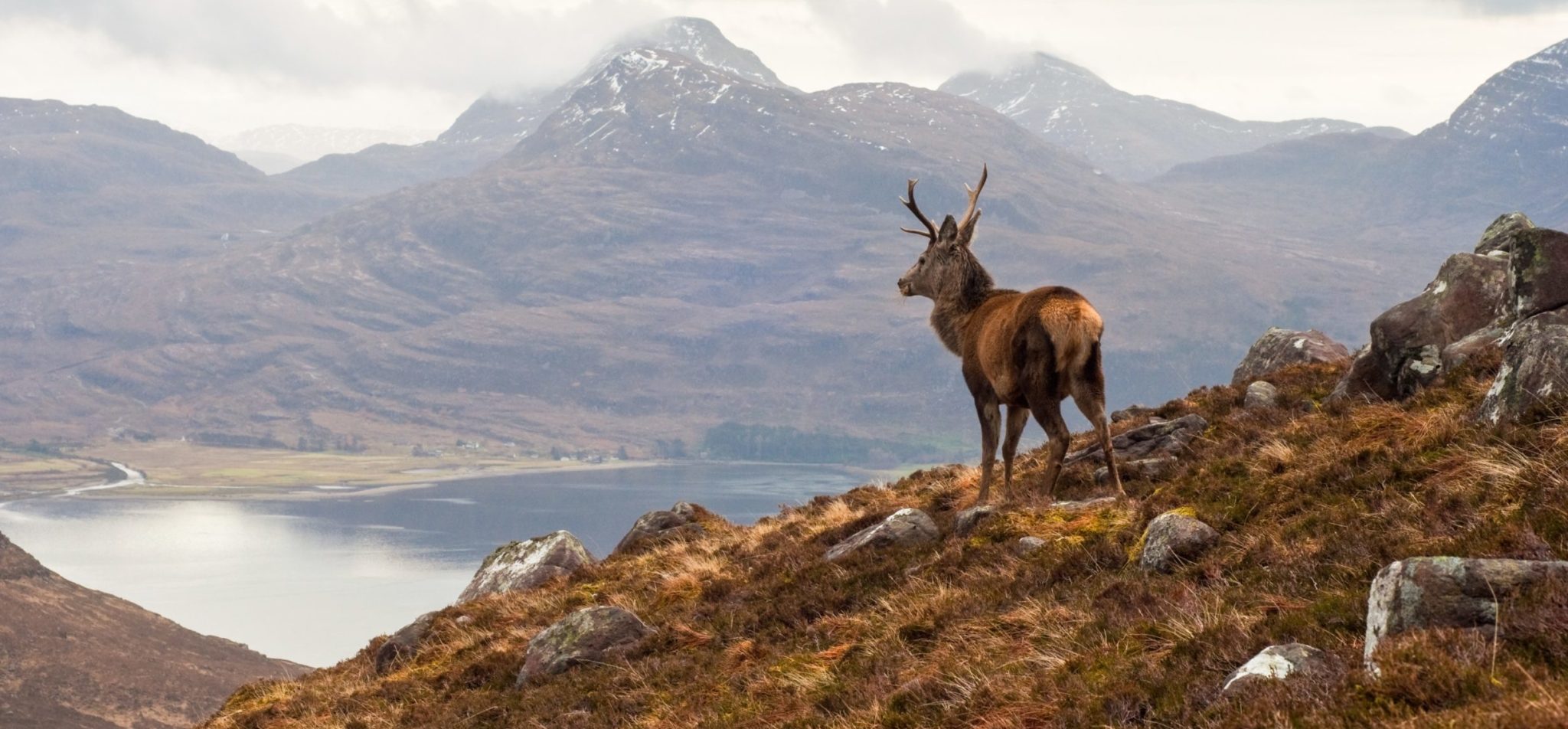 Scotland’s Natural Environment Bill: What’s included? | CIEEM