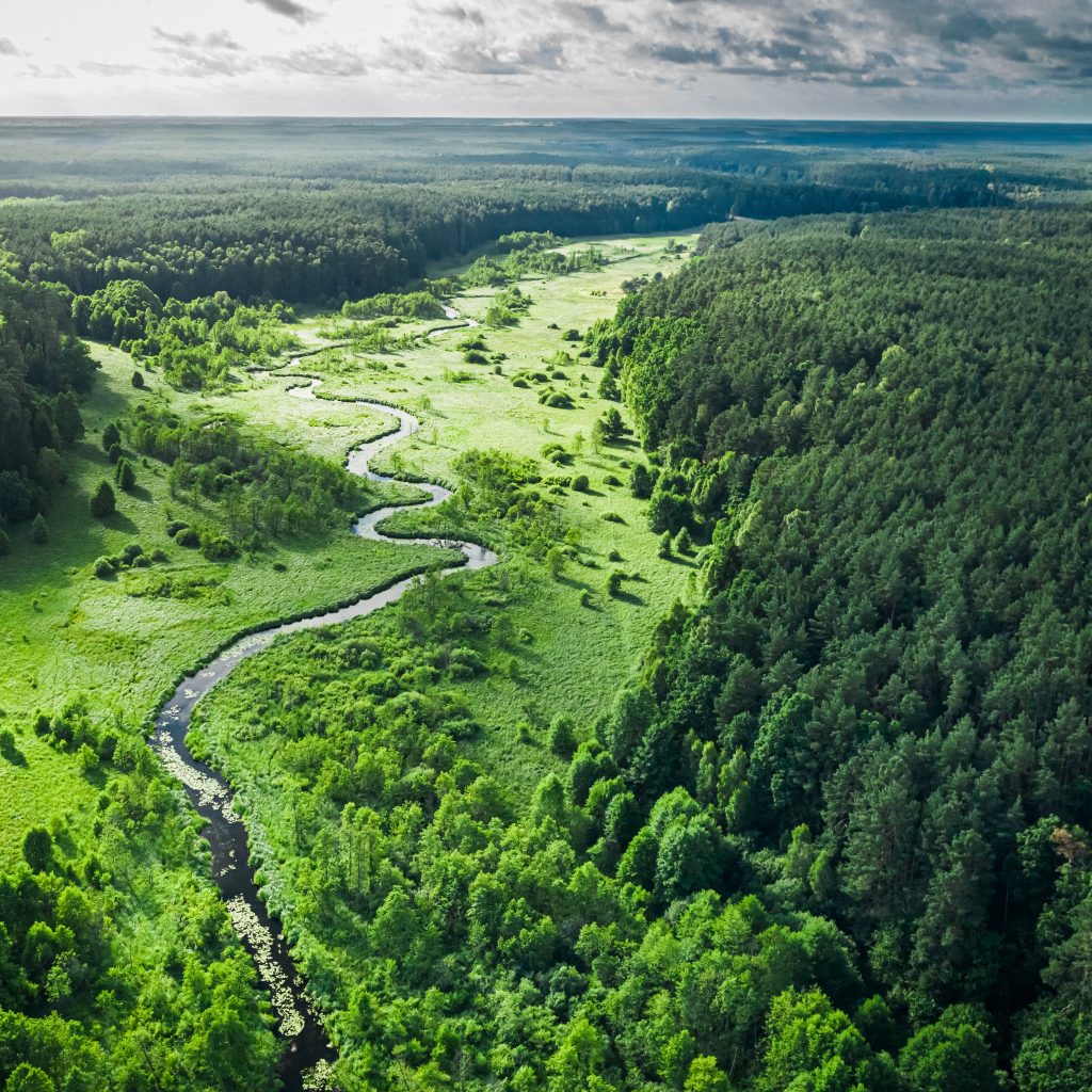 CIEEM Webinar: Natural England Nature Recovery Network | CIEEM