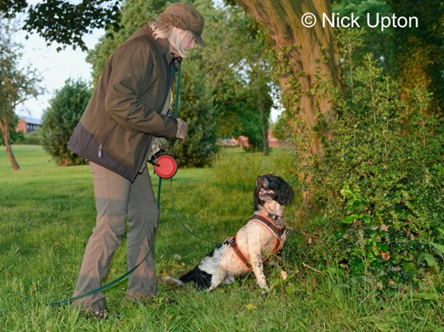 Conservation detection dogs: searching for best practice – By Louise ...