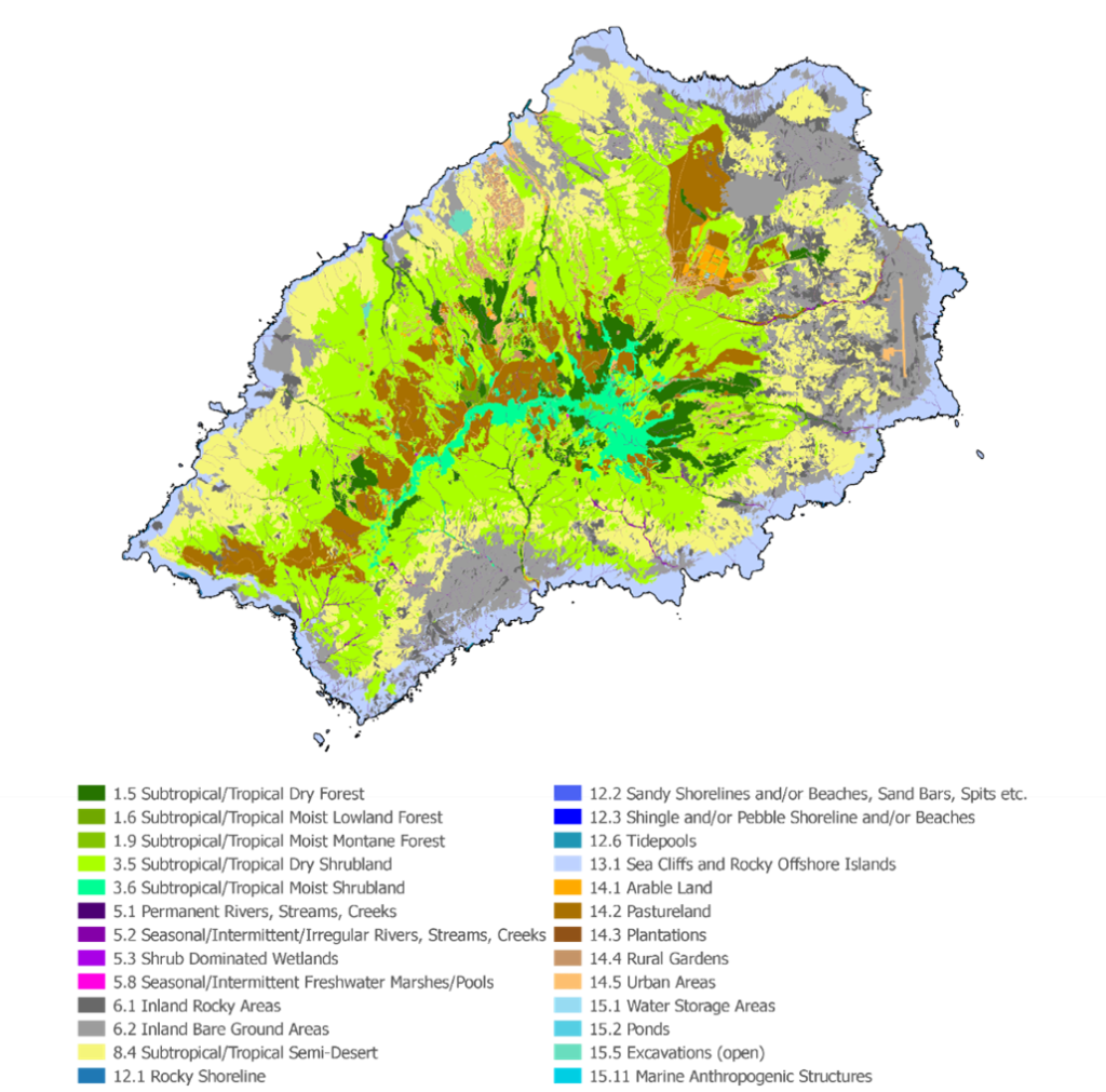 Forest restoration saving an island’s population, the St Helena Cloud ...