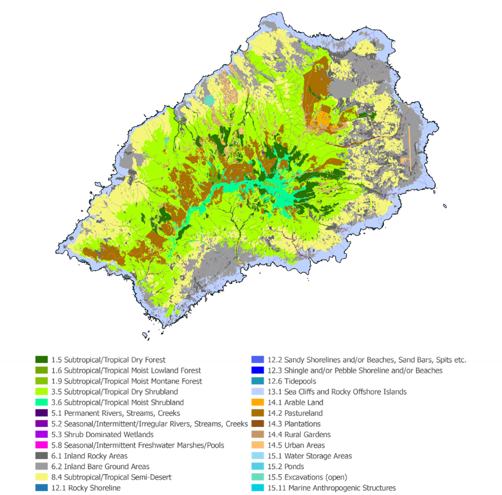 Forest restoration saving an island’s population, the St Helena Cloud ...