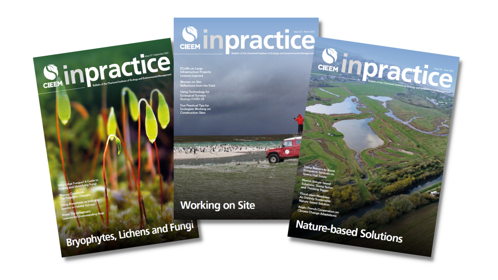 In Practice Magazine | CIEEM