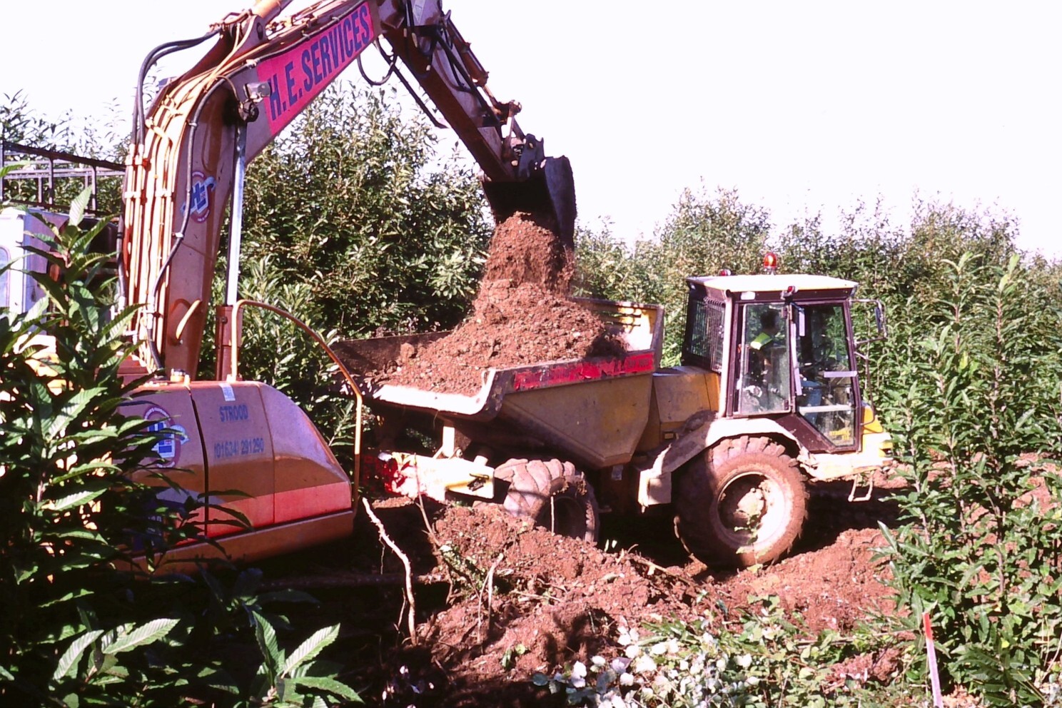 Soils and Biodiversity Net Gain – by Chris Stapleton | CIEEM