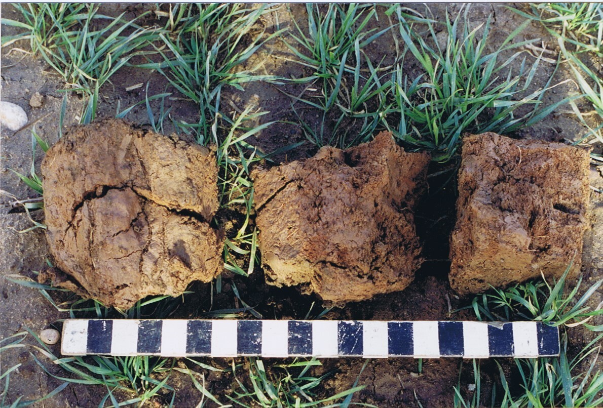 Soils in EIA – by Chris Stapleton | CIEEM