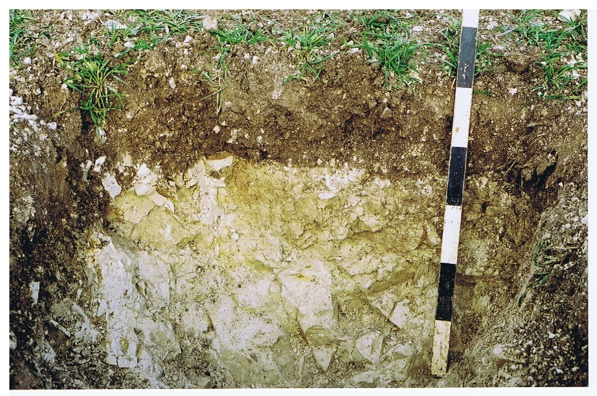 Why Are Soils Neglected? – by Chris Stapleton | CIEEM