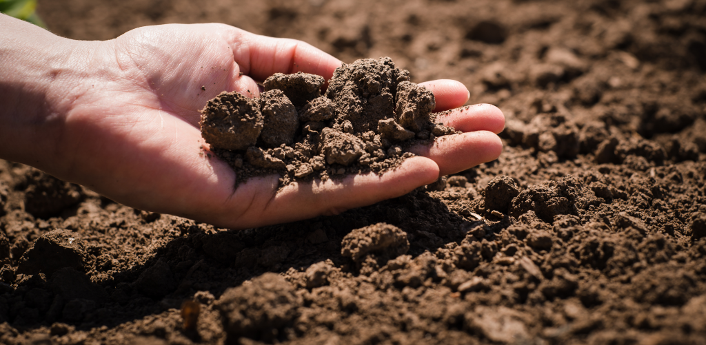 Soils in EIA – by Chris Stapleton | CIEEM