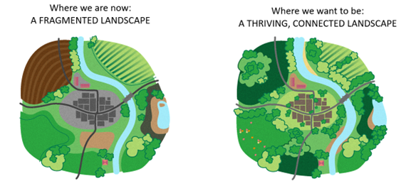 Nature Recovery Networks for Northern Ireland- More, Bigger, Better and ...