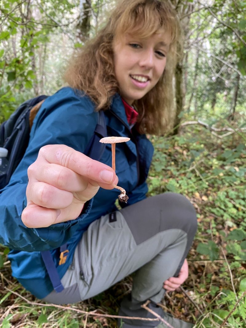 Nature Based Solutions: Afforestation with Rhizocore – by Kathleen ...