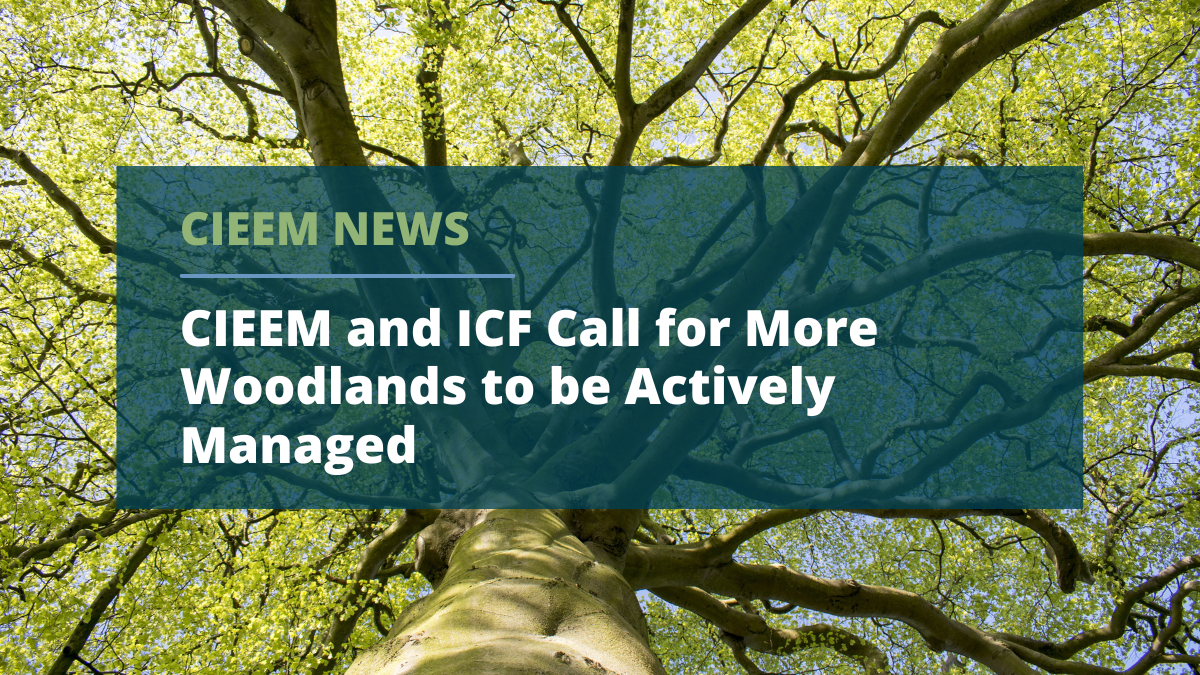 CIEEM and ICF Call for More Woodlands to be Actively Managed | CIEEM