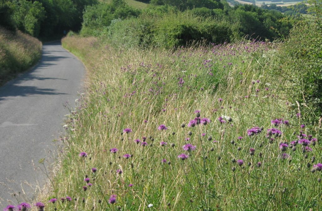 What exactly is ‘Other Neutral Grassland’ and how should we make the ...
