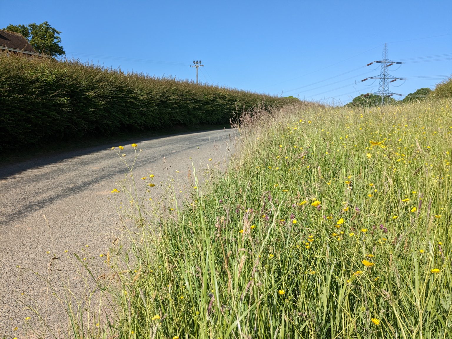 What exactly is ‘Other Neutral Grassland’ and how should we make the ...