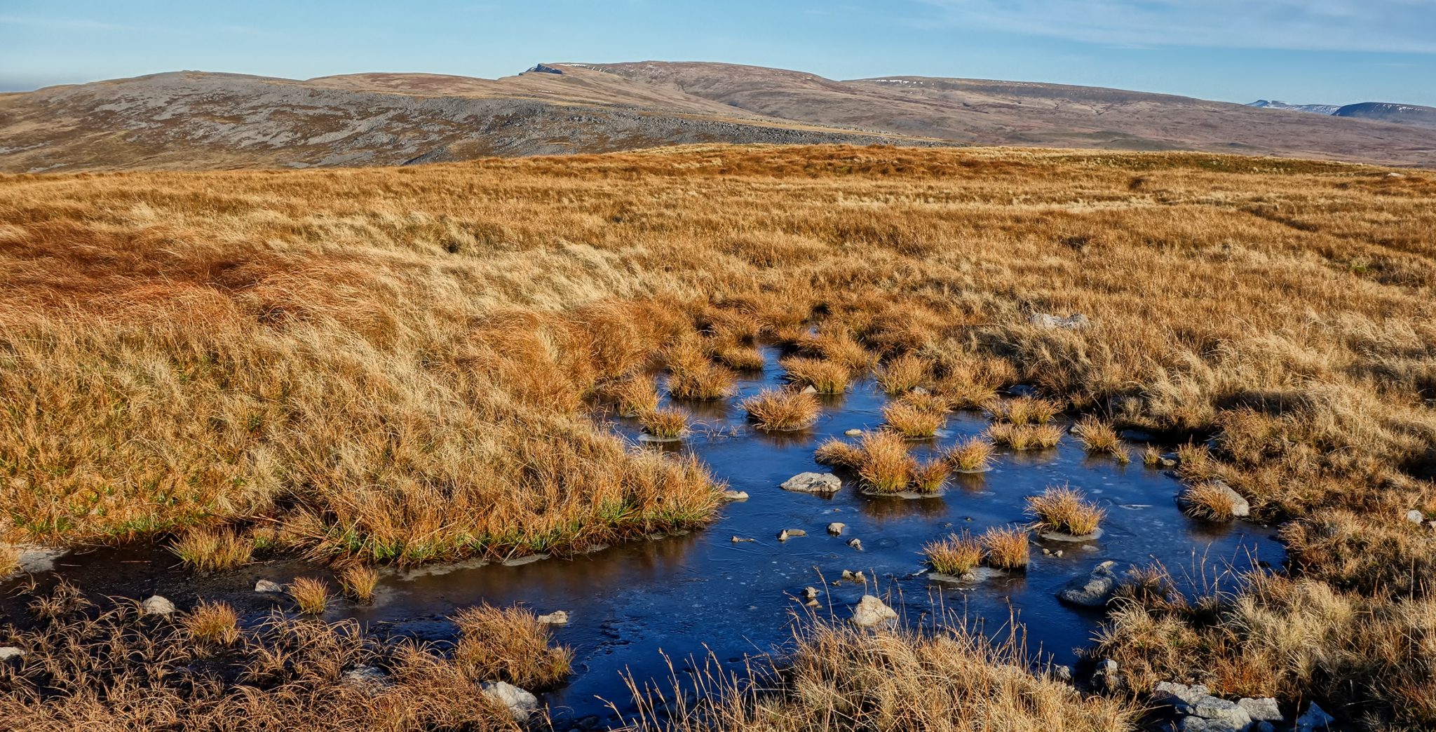 Blanket Bogs and Beyond: Repairing One of the World’s Most Important ...