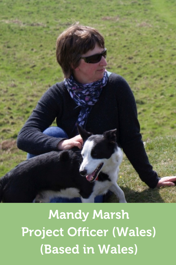 Green Matters at Hay-on-Wye Festival – by Mandy Marsh | CIEEM