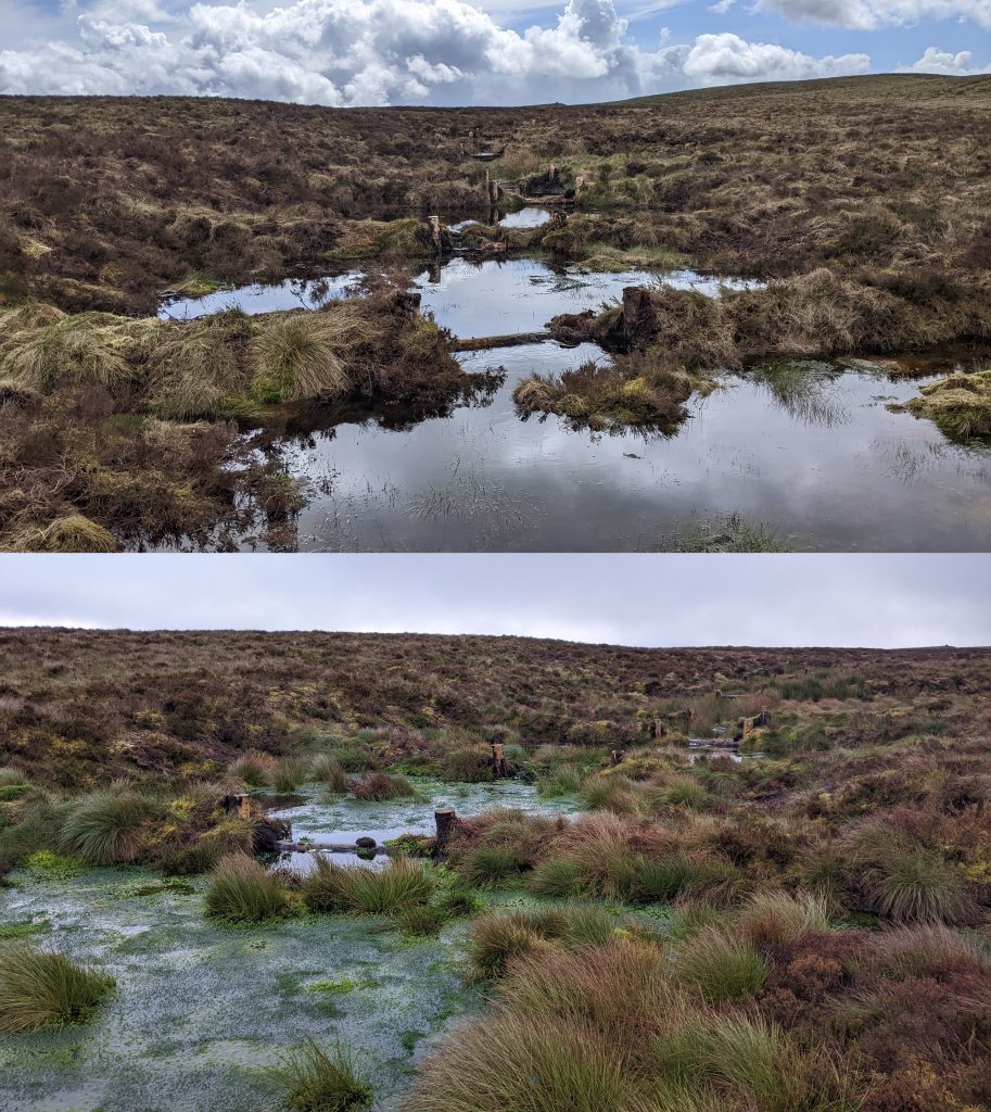 2024 Award Winner’s Spotlight: Best Practice Award: Large-scale ...