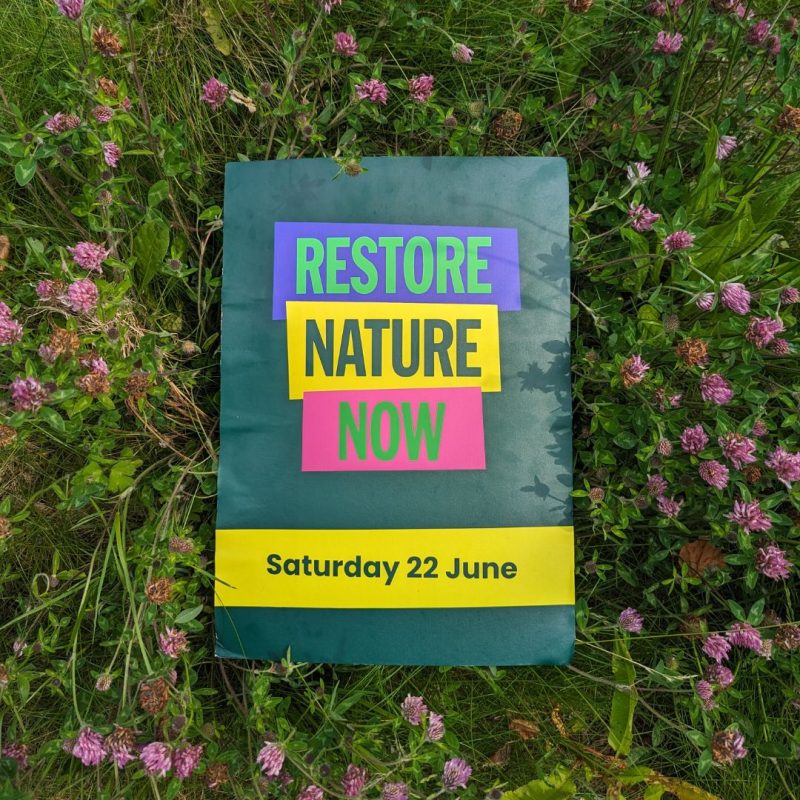 World Environment Day and Volunteer Week 2024 – Join us at Restore ...