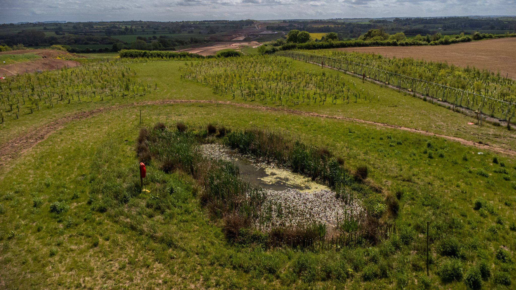 Rebuilding Nature: Good Practice Guidance for Ecological Restoration ...