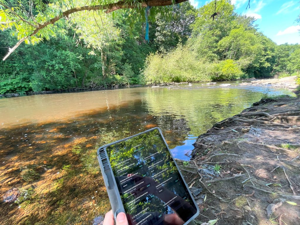How will Biodiversity Net Gain restore nature in England’s rivers? | CIEEM