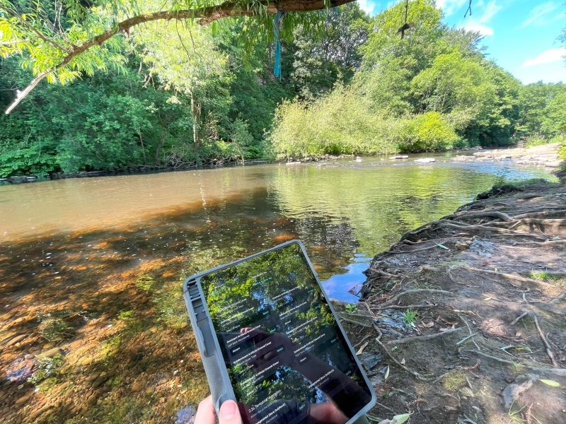How will Biodiversity Net Gain restore nature in England’s rivers? | CIEEM