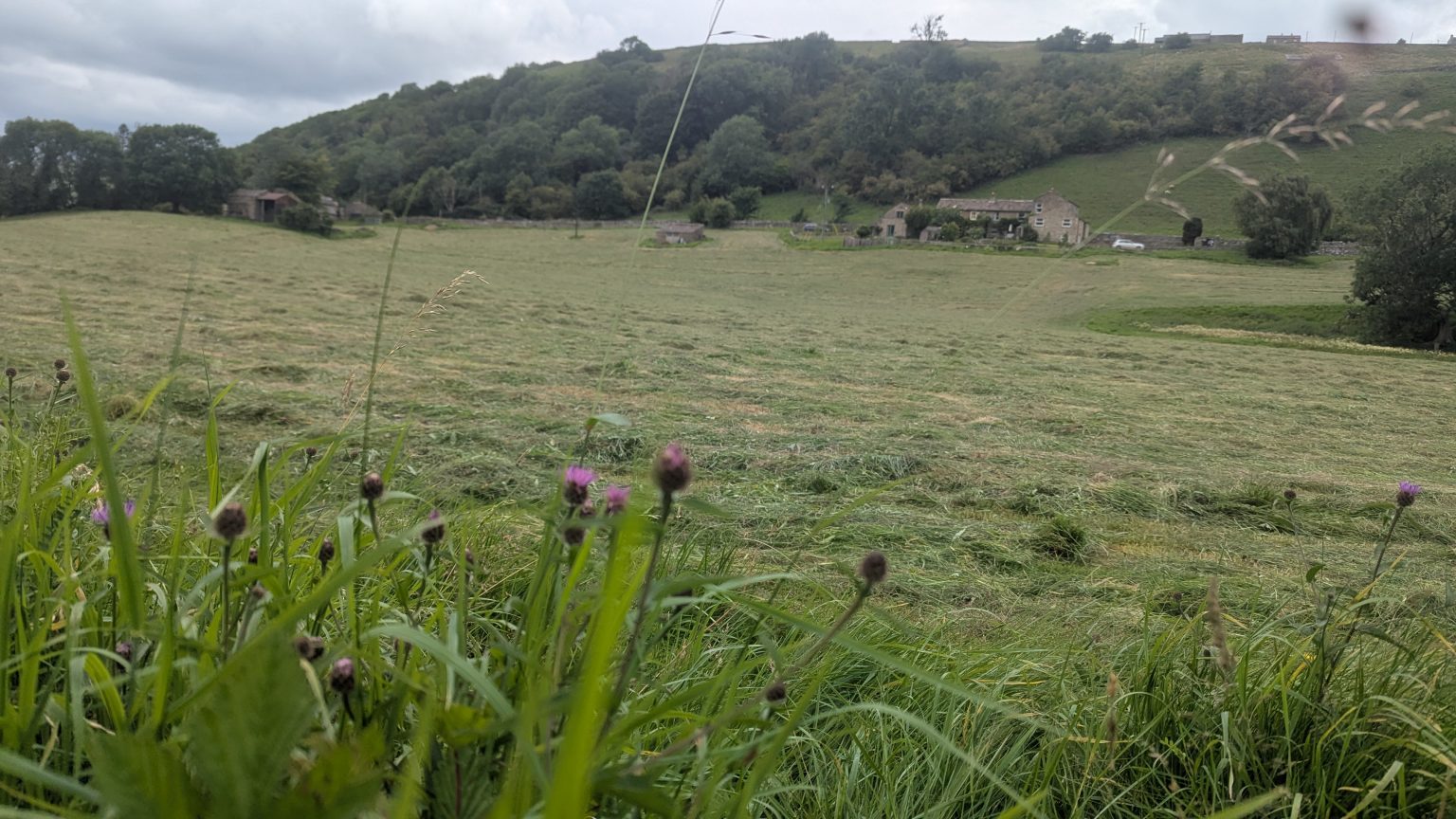 Large Scale Restoration and Nature Recovery: Guidance to aid increasing ...